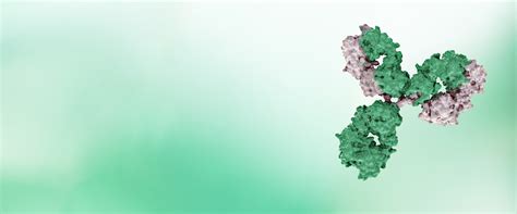 Spermatogenesis Related Protein Kinase Antobody