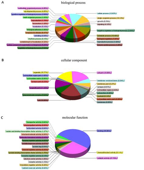 Functional Annotations Of All Identified Proteins All Identified Download Scientific Diagram