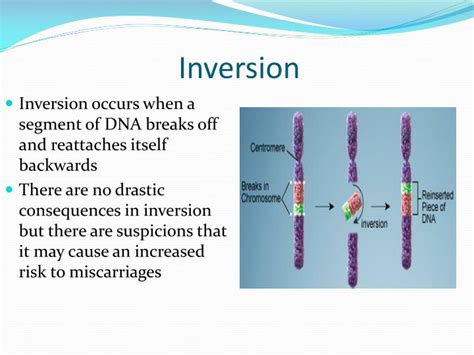 Ppt Errors And Exceptions In Chromosomal Inheritance Powerpoint