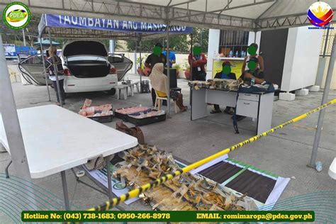 Pdea Regional Office Pdea Regional Office Mimaropa