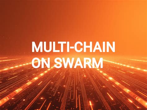 Multi Chain Support On Swarm Coingradient