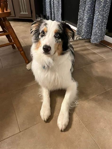 Love My Wiggle Butt Rwigglebutts