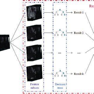 Flowchart Of The RF Classification Download Scientific Diagram