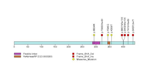 Mutation Analysis Mutsig 2cv V31