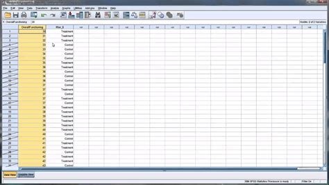 Random Assignment In Spss Youtube