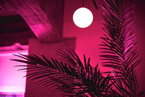 Bloody Angle Yoshirottencom