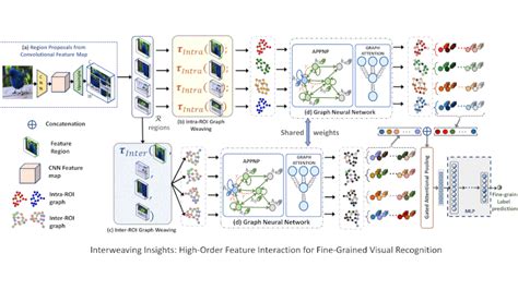 Research Machinelearning Ai Computervision Gnn Fgvc Innovation
