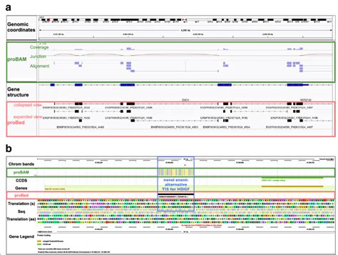 Visualization Of Probam And Probed Files In Genome Browsers A Igv