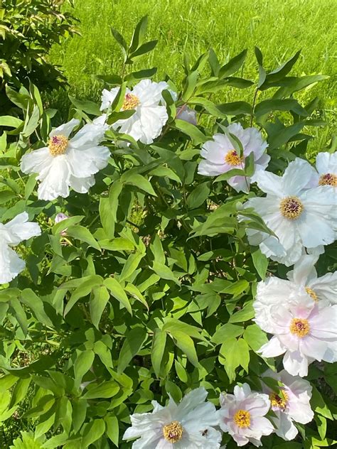 🎬 영상 편집의 시작 프리미어 프로premiere Pro 설치 방법 완벽 가이드