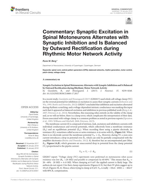 Pdf Commentary Synaptic Excitation In Spinal Motoneurons Alternates