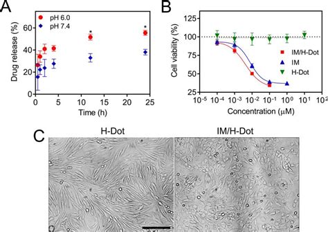 Cas 28211 04 3 Epsilon Polylysine Hydrochloride Boc Sciences