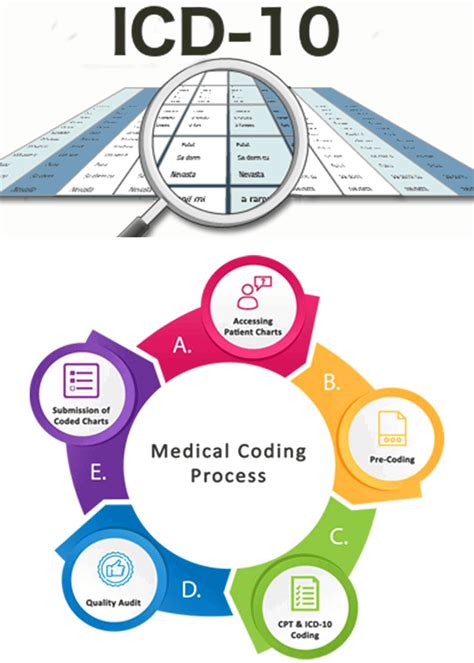 Prospectus Post Graduate Diploma Executive Diploma In Medical Coding