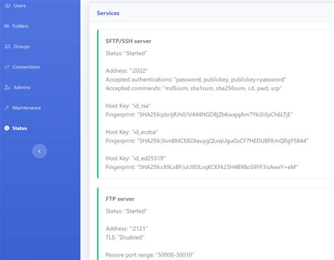 Cant Connect By Ftp In Docker Sftp And Webdav Is Ok · Issue 876 · Drakkansftpgo · Github