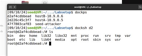 [seed labs] packet sniffing and spoofing lab