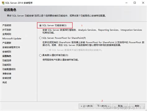 云服务器安装sql Server2014（解决sql安装规则需要 Microsoft Net Framework 35 Service