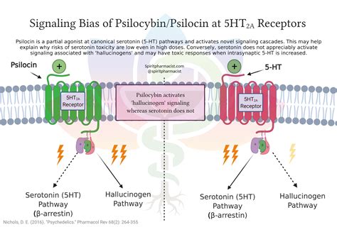 Introduction To Psychedelic Tryptamines