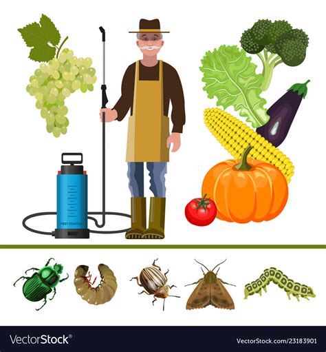 Pest Control Concept Royalty Free Vector Image