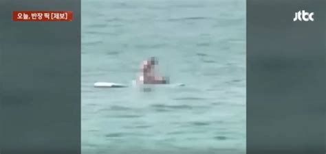 바다 위에서 애정행각한 커플 보다 찍은 사람 잘못 아니야 인스티즈 Instiz 일상 카테고리