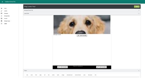 Introducing Caldera Forms Pro Plugin From Caldera Labs