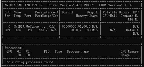 How Can I Use A Nvidia Gpu To Enable HW Transcoding In Jellyfin