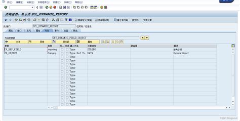 Sap 动态编程 动态获取结构字段对象（类模式）