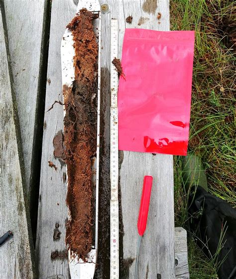 Moist Moist Recording Austrias Degraded Peatlands And Assessing