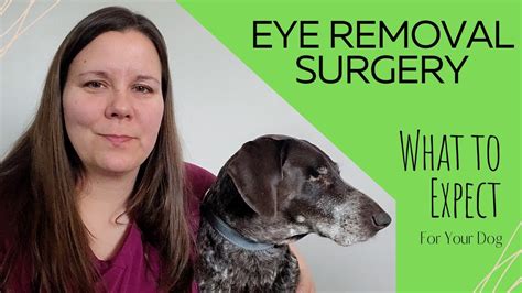 Healing After Eye Surgery What To Expect Youtube