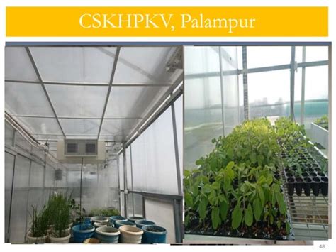 High Throughput Plant Phenotyping In Crop Improvement Pptx