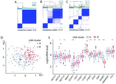consensus clustering of 14 important m6a modulators in ad patients