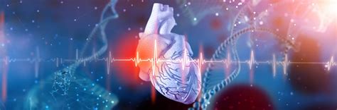 Small Vessel Disease When Branch Lines Of Heart Get Clogged