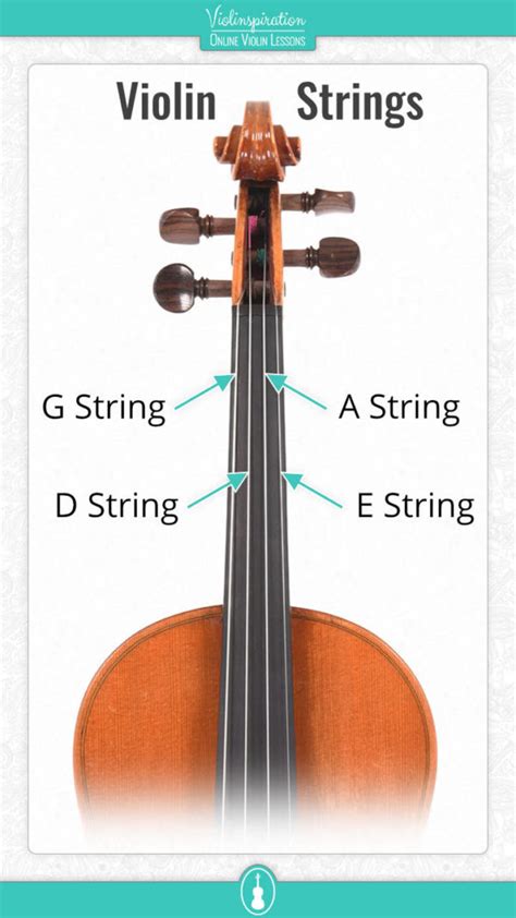 Violin Open Strings An Easy Guide For A Violin Newbie Violinspiration
