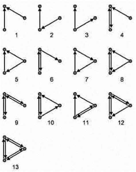 Fig S41 The 13 Classes Of 3 Node Motifs In Digraphs According To Fig Download Scientific