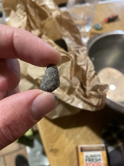 Identification De Fossile Demandes D Identification De Fossiles Géoforum