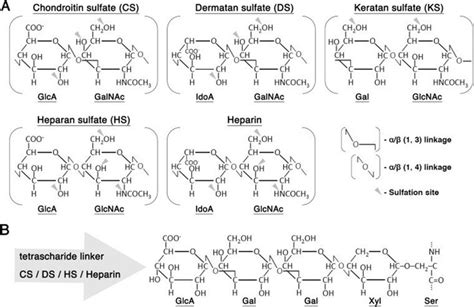 Figure No 2 Chemical Structure A And Synthesis B Of Download Scientific Diagram