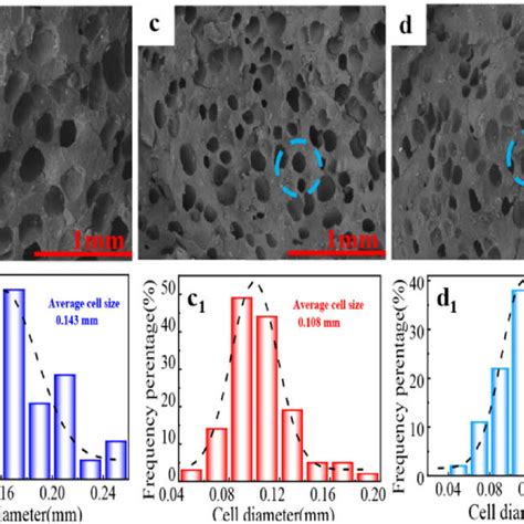 Cell Structure A E And The Cell Size Distribution A1 E1 Of The Pp