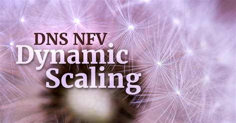 Dns Vnf Dynamic Scaling And Zero Touch Provisioning Efficientip