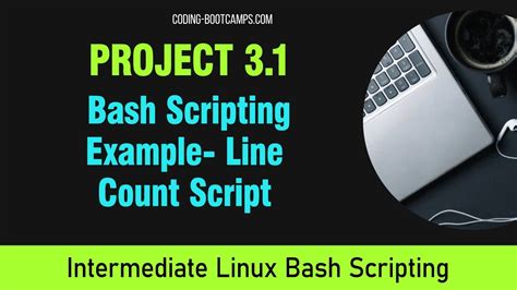 Master Linux Bash Scripting Project 31 Example 1 Line Count Script Youtube