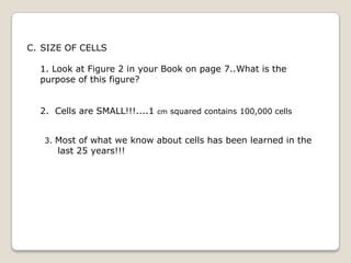 Powerpoint Cells PPTX Biological Sciences Science
