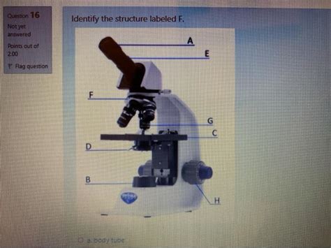 solved question 16 identify the structure labeled f not yet