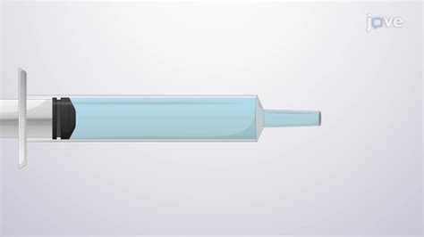 Video Continuity Equation