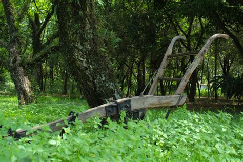 รูปภาพciero เลือกดูภาพถ่ายสต็อก เวกเตอร์ และวิดีโอ85 Adobe Stock