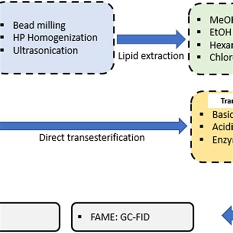 Illustration Of The Steps For The Transesterification Processes Of