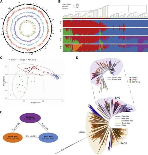 生物信息学分析 育种助手 长沙百奥云数据科技有限公司生信分析