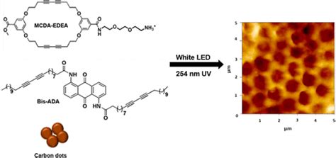 Light Induced Self Assembled Polydiacetylenecarbon Dot Functional Honeycomb” Acs Applied