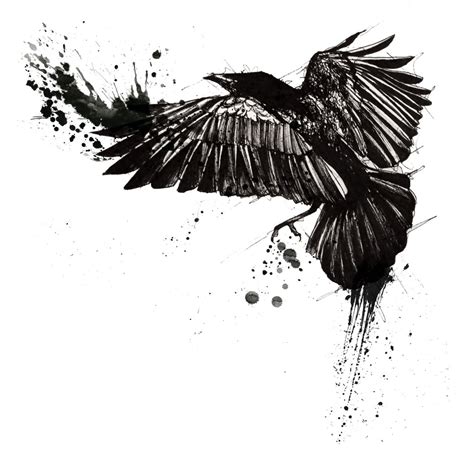 210 Coolest Crow Tattoos Ideas With Meanings Tattoosboygi