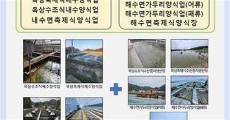 양식장 위해요소중점관리 등록 대상1일부터 해상양식장까지 확대