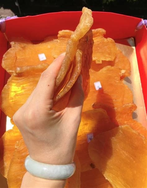 高價回收滋補品海味乾貨 花膠 魚肚 鳘肚 魚膠 海參 燕窩 鮑魚 等 健康及營養食用品 健康補充品 健康補充品 保健食品飲料和補品