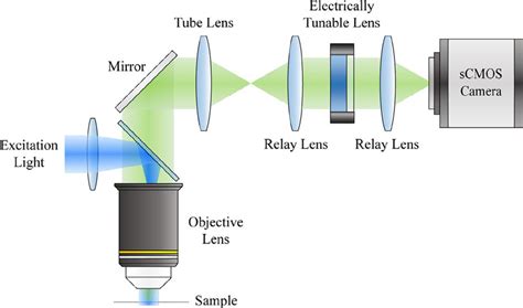 Schematic Of The Custom Designed Microscope Used For Imaging Larval Download Scientific Diagram