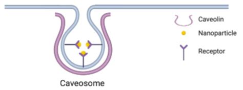 Nanomanufacturing Special Issue Current Review In Nanofabrication And Nanomanufacturing