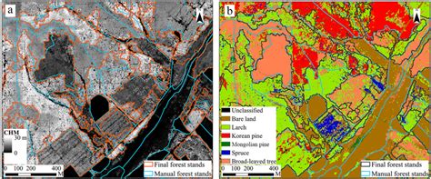 Xiong H Pang Y Et Al 2024 Forest Stand Delineation Using Airborne